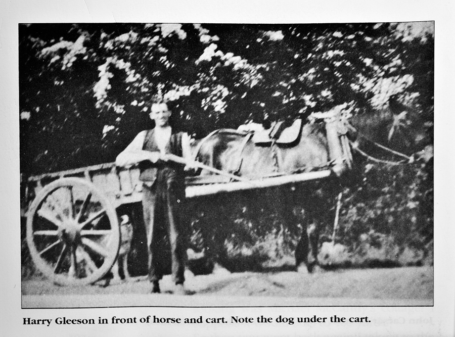 Harry Gleeson - Irish Innocence Project